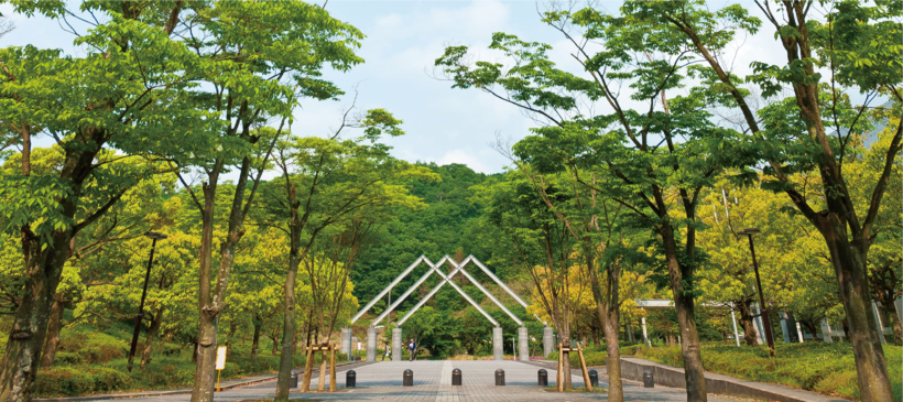 NARA Institute of Science and Technology